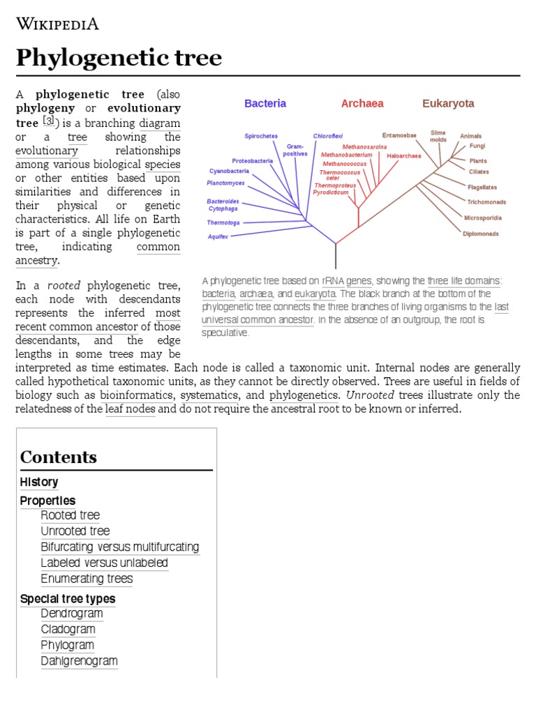 Phylogenetic Tree - Wikipedia | PDF | Phylogenetic Tree | Taxa