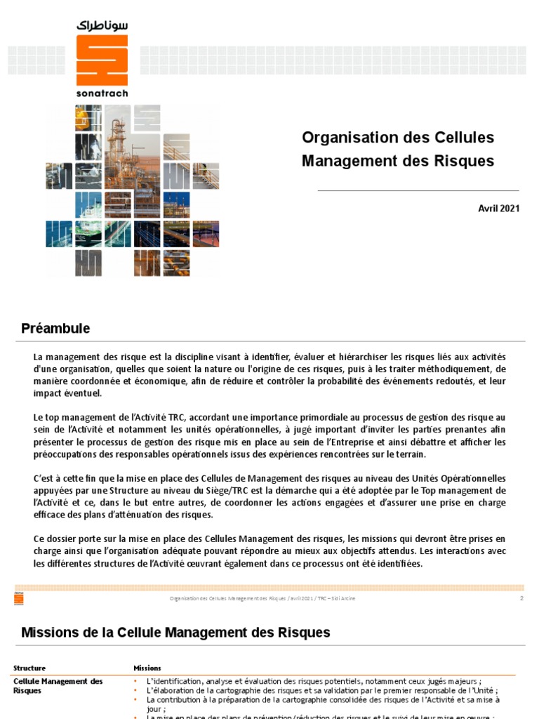 Organisation Cellules Management Des Risques V2 | PDF | Gestion des risques | Risque