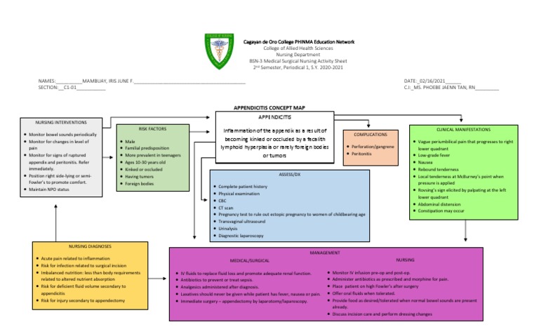 Appendicitis Concept Map | Download Free PDF | Gastroenterology ...