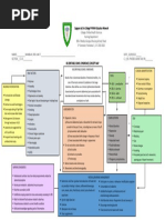 Cholecystitis Concept Map | PDF | Gallbladder | Medical Specialties