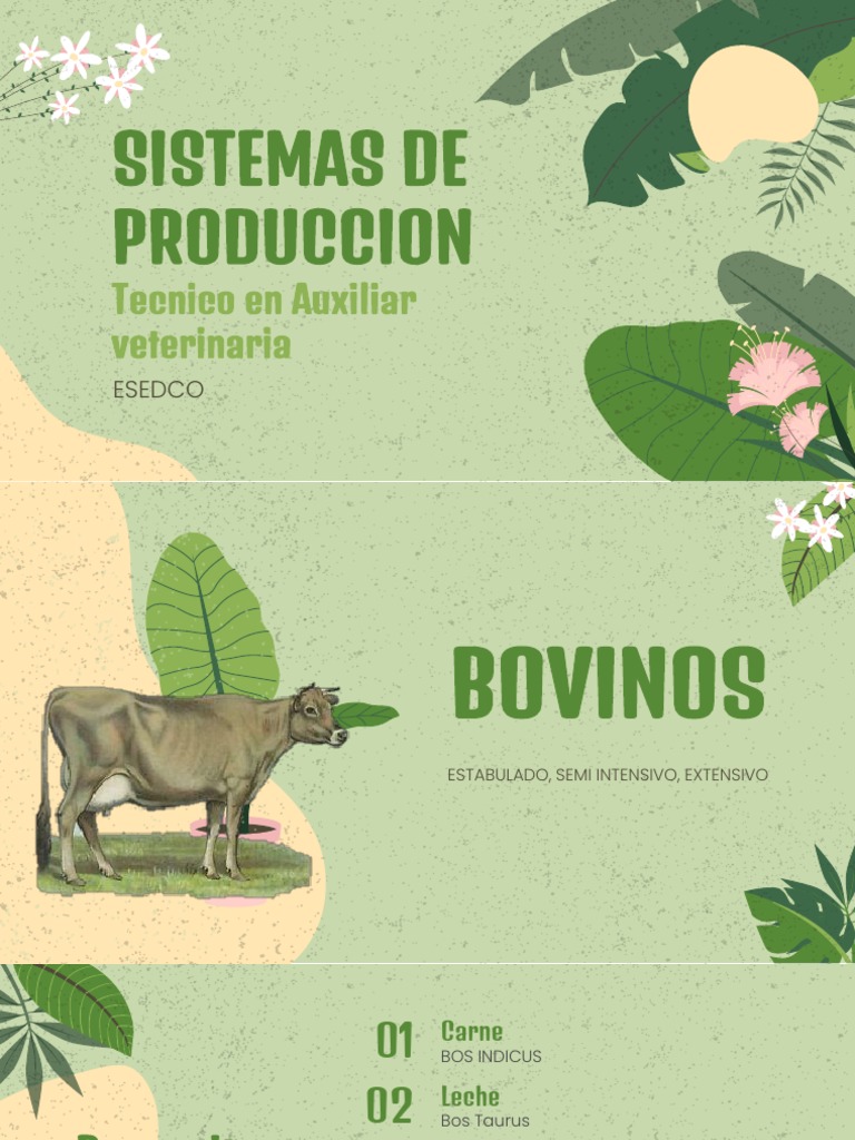 Sistemas de Produccion Animal | PDF | Cerdo doméstico | Alimentos