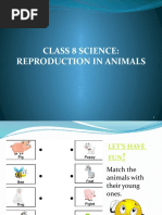Reproduction in Animals CLASS VIII NOTES | PDF | Reproductive System ...