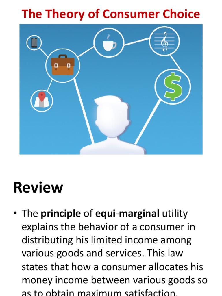 Theory of Consumer Choice | PDF | Consumers | Business Economics
