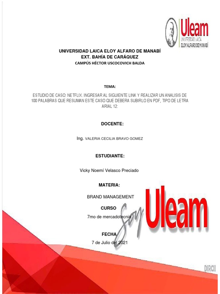 Análisis del Caso Netflix en Marketing | PDF | Netflix | Big Data