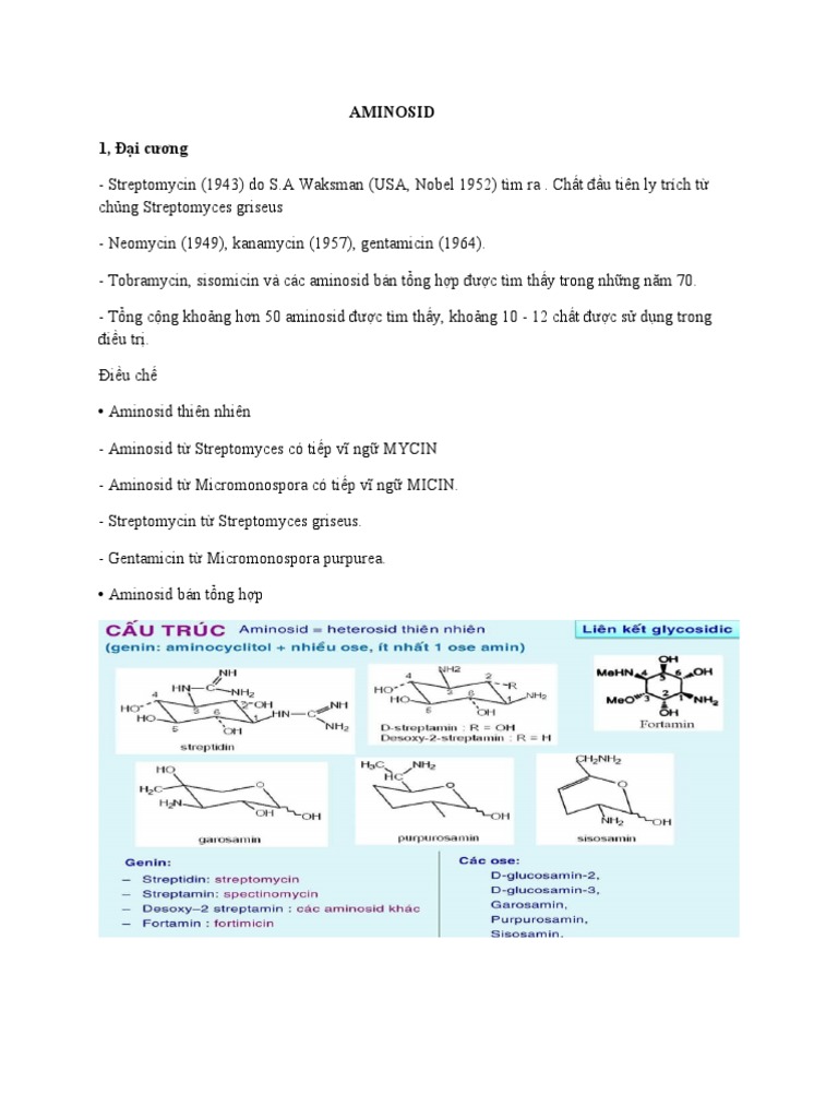 AMINOSID hoàn chỉnh | PDF