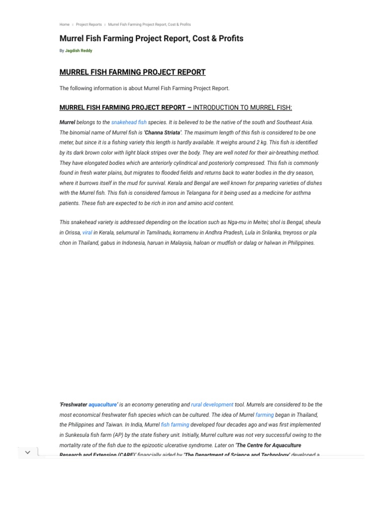 Murrel Fish Farming Project Report, Cost - Profits - Agri Farming | PDF ...