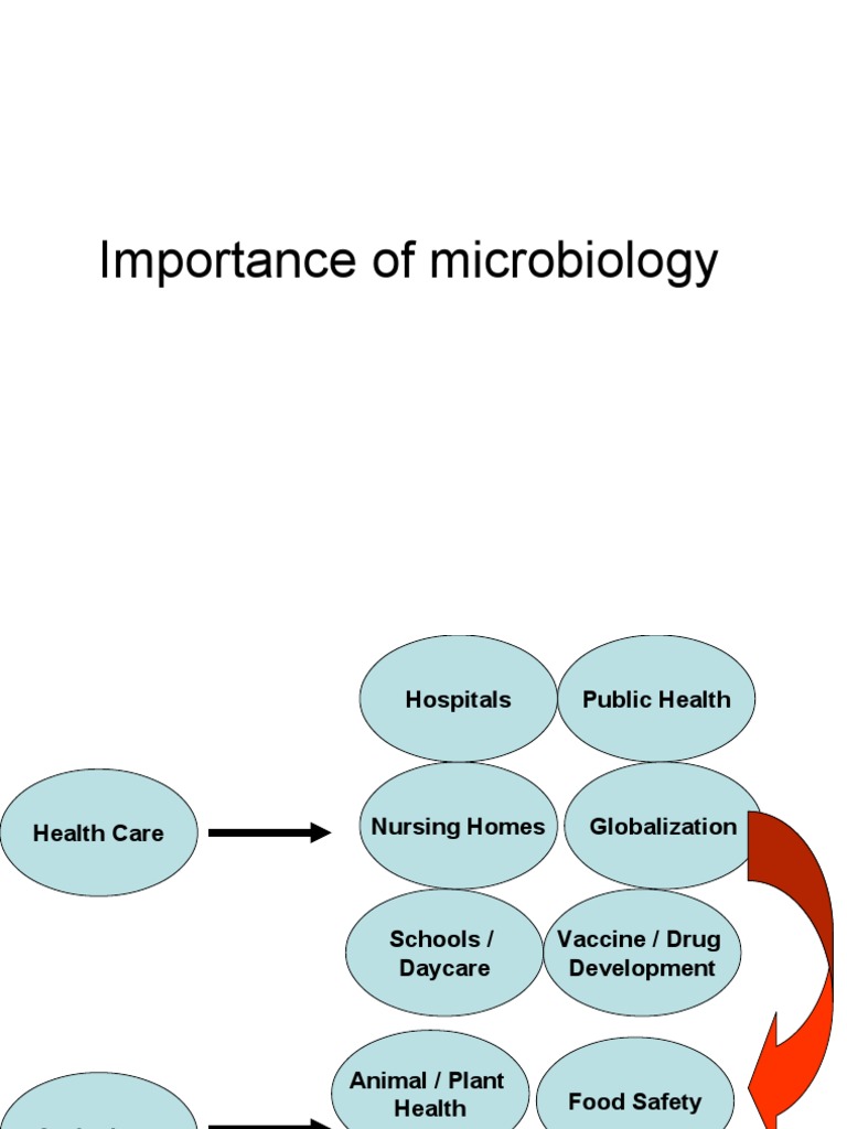 Importance of Microbiology | PDF | Microbiology | Infection