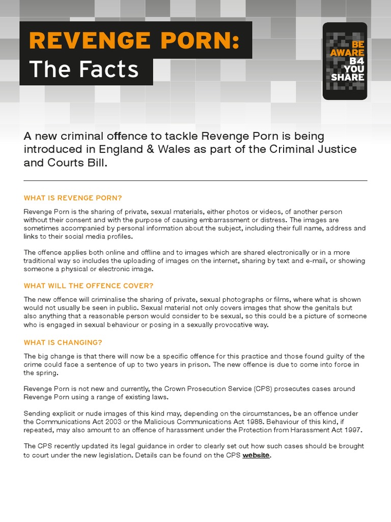 Explaining the New Offence of Revenge Porn: A Summary of the Facts ...