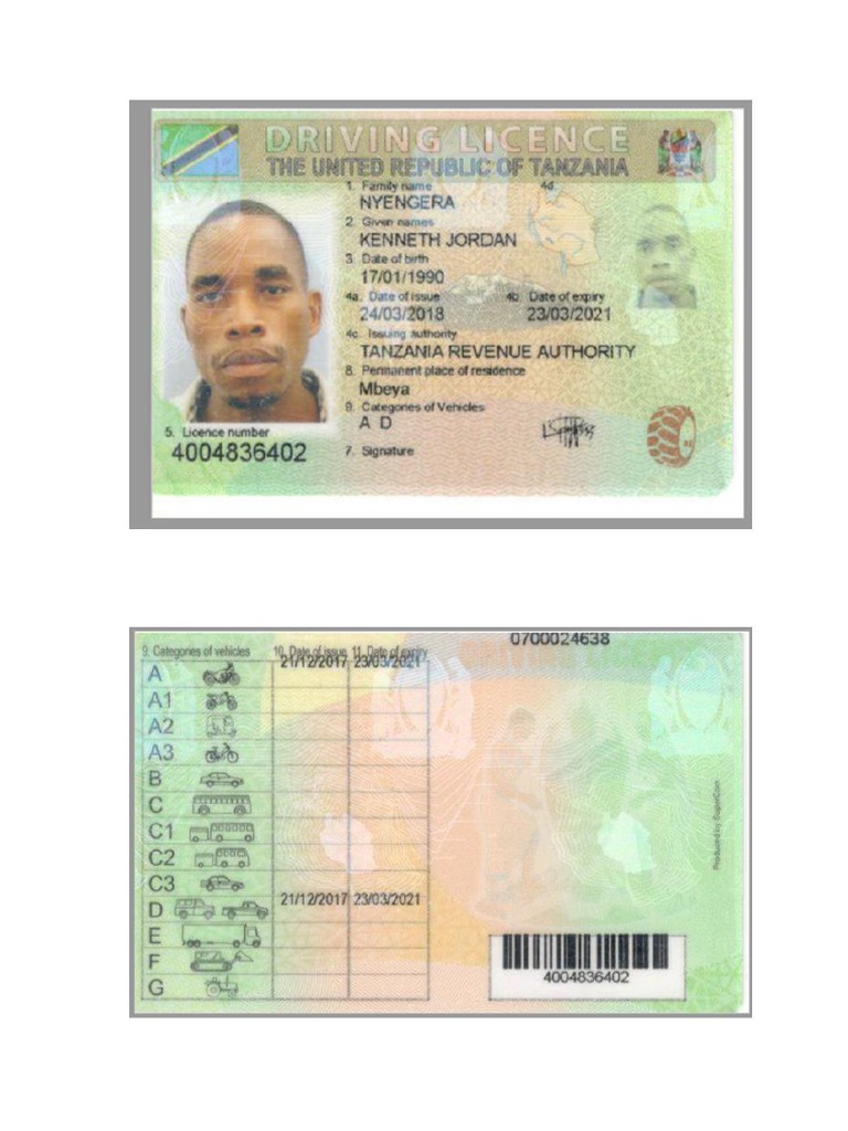 Driving Licence | PDF
