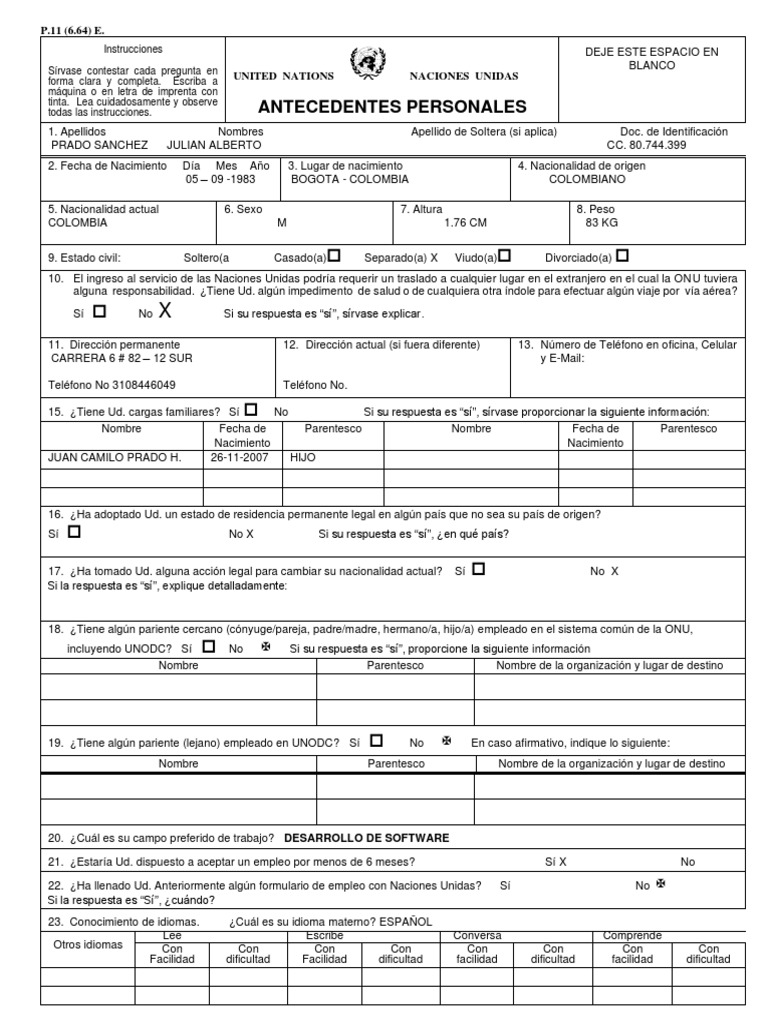 Formato P11 | PDF | Desarrollo de software | Informática