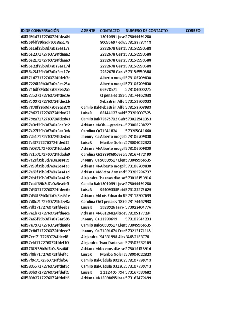 Conversation Report | PDF