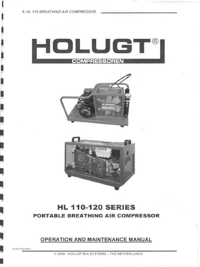 Holugt HL 110-120 Series Portable Breathing Air Compressor | PDF ...