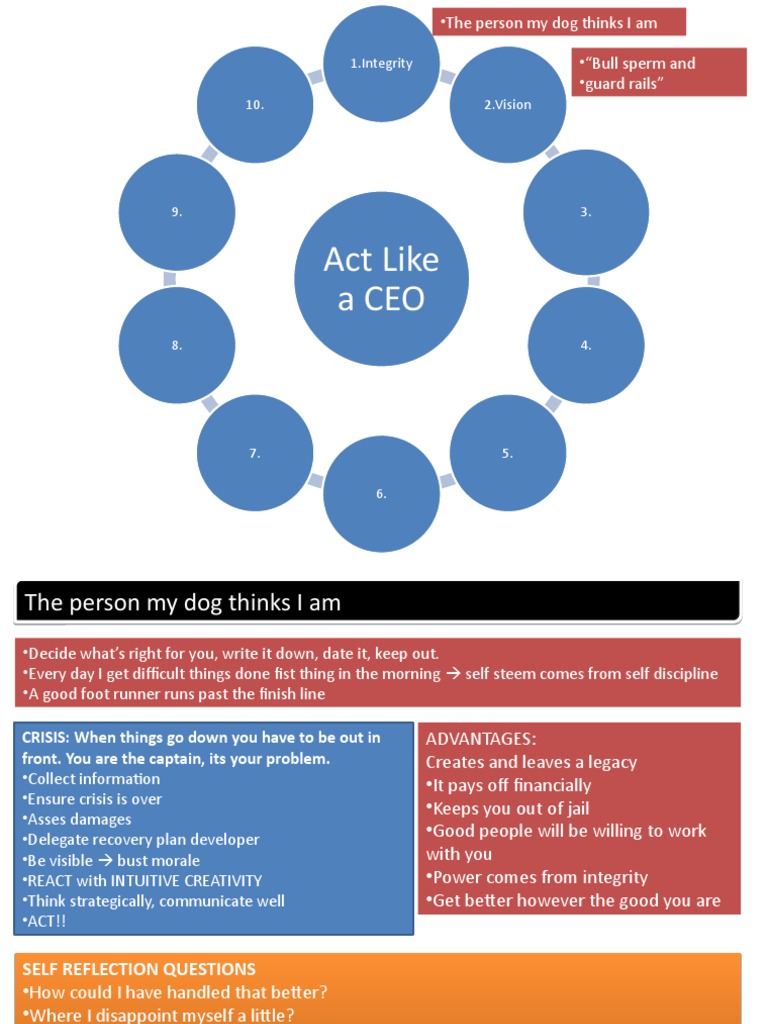 CEO Mindset: Integrity and Strategy | PDF | Cognition | Cognitive Science