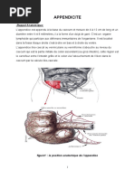 Anatomie chirurgicale de l'appendice | PDF | Péritoine | Gastroentérologie