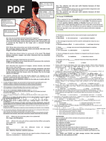 Argumentative (Two-Sided Opinion) Essay | PDF | Argument | Essays