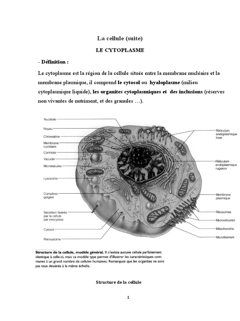 Cours No 03-La Cellule (Suite) | PDF | Cytosol | Cytoplasme Cours No 03-La Cellule (Suite) | PDF | Cytosol | Cytoplasme