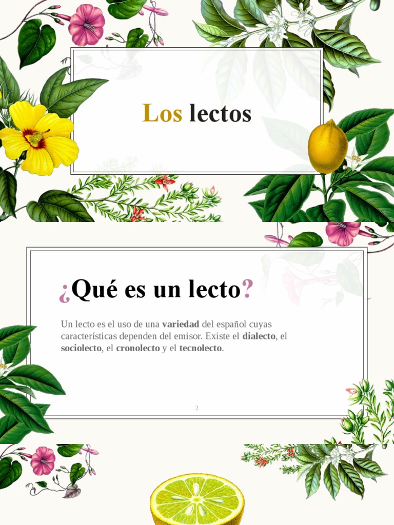Tipos y ejemplos de lectos en español | PDF