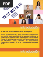 Beta III - Manual de Aplicación | PDF