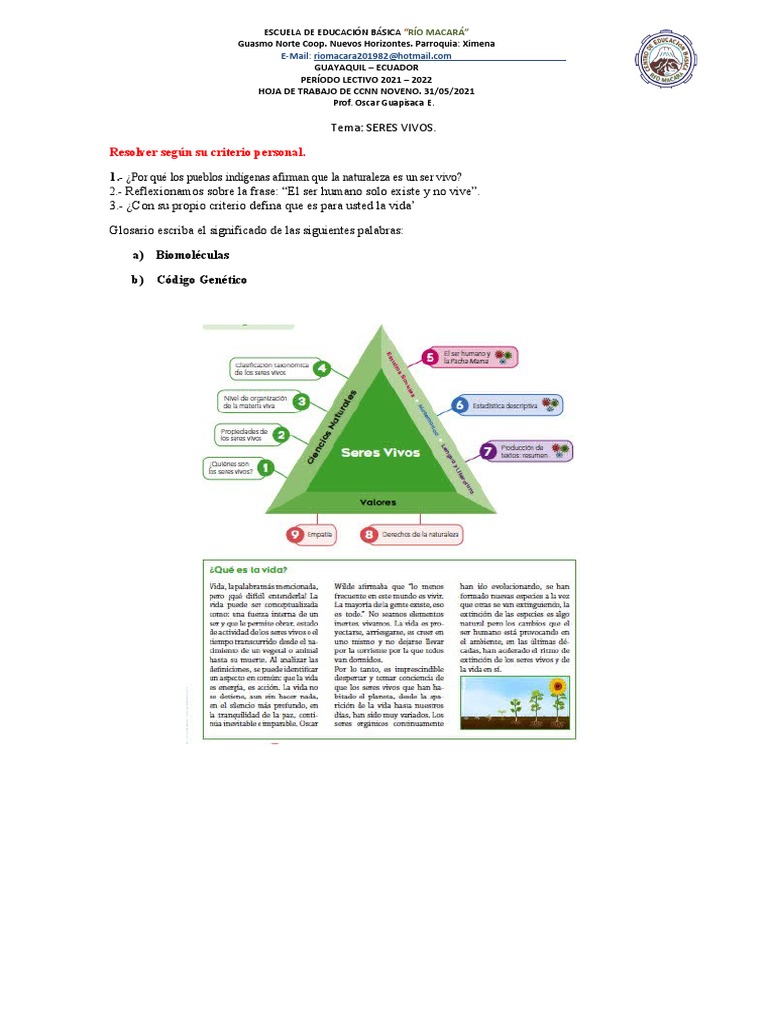 Hoja de Trabajo CCNN 9no. 31-05-21 | PDF