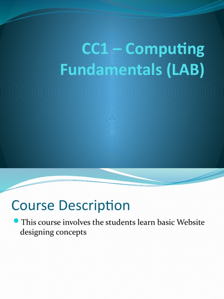 CC1 - Computing Fundamentals (LAB) | PDF