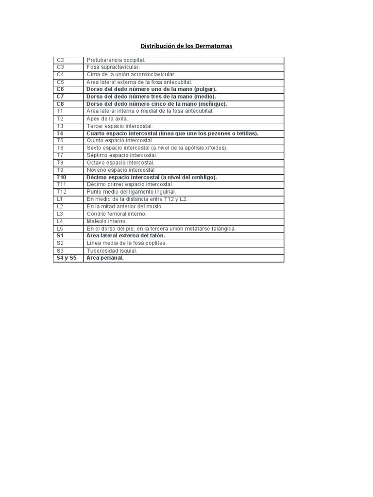 Distribución de Plexos y Dermatomas | PDF | Mano | Extremidades (anatomía)