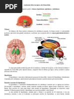 Instrumento NECPAL-BR para Cuidados Paliativos | PDF | Câncer ...