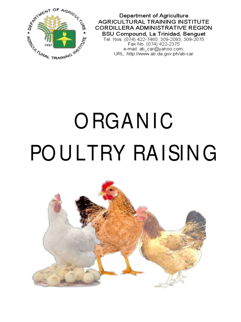 Organic Poultry Raising (Brochure) | PDF | Birds | Soybean