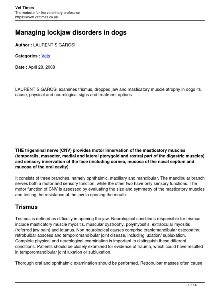 Managing Lockjaw Disorders in Dogs: Trismus | Download Free PDF ...