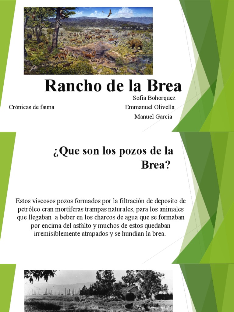 Rancho de La Brea 3 | PDF | Naturaleza
