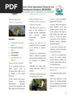 General Pta Action Plan Sy 2021-2022 | PDF | Teachers