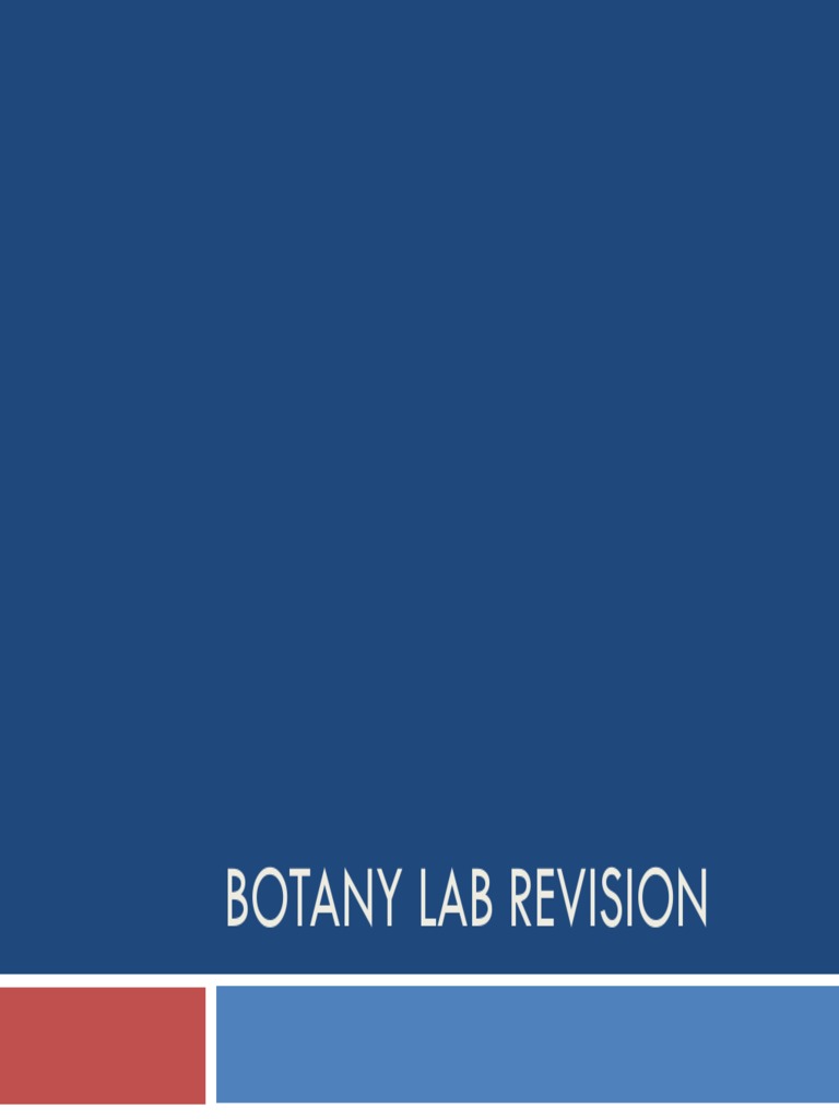 Botany Lab Revision | Download Free PDF | Leaf | Botany