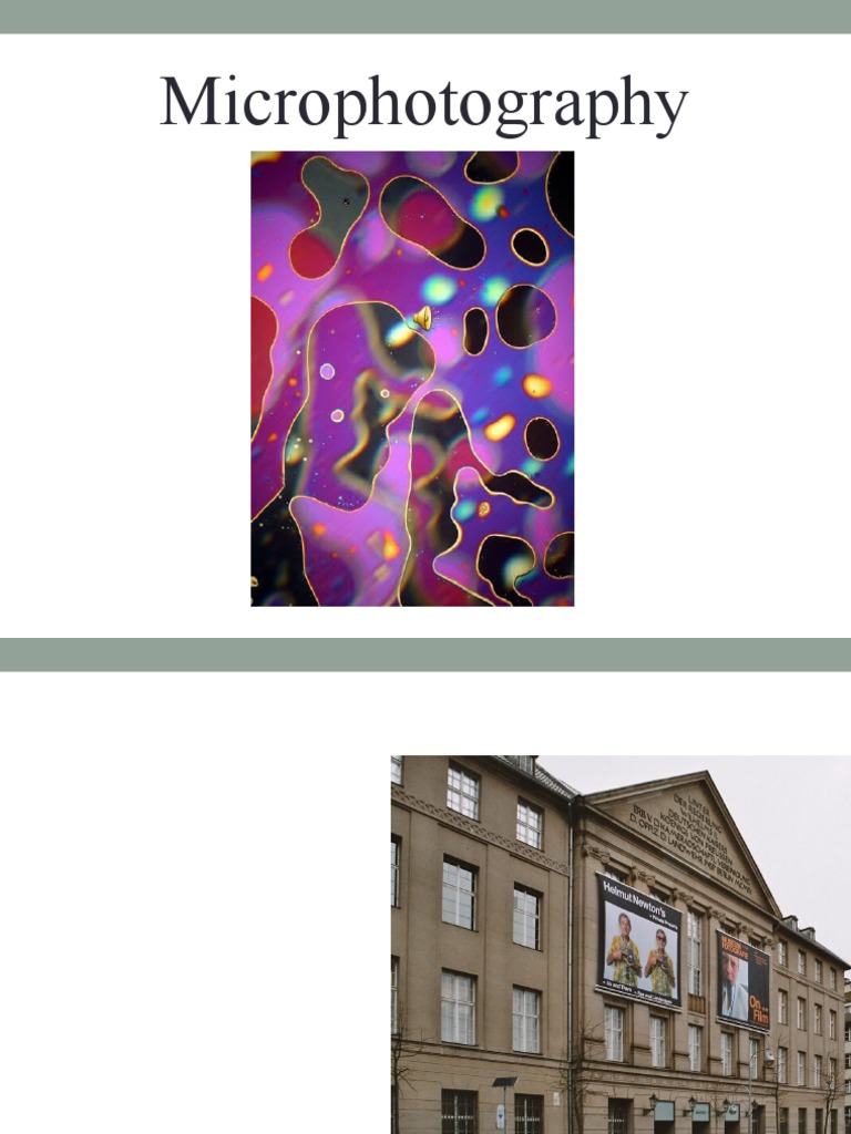 Exploring Microphotography Techniques | PDF