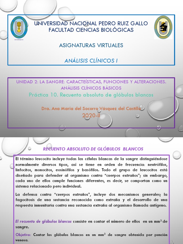 Práctica 10. Recuento Absoluto de Glóbulos Blancos | PDF | Leucocito | Sangre