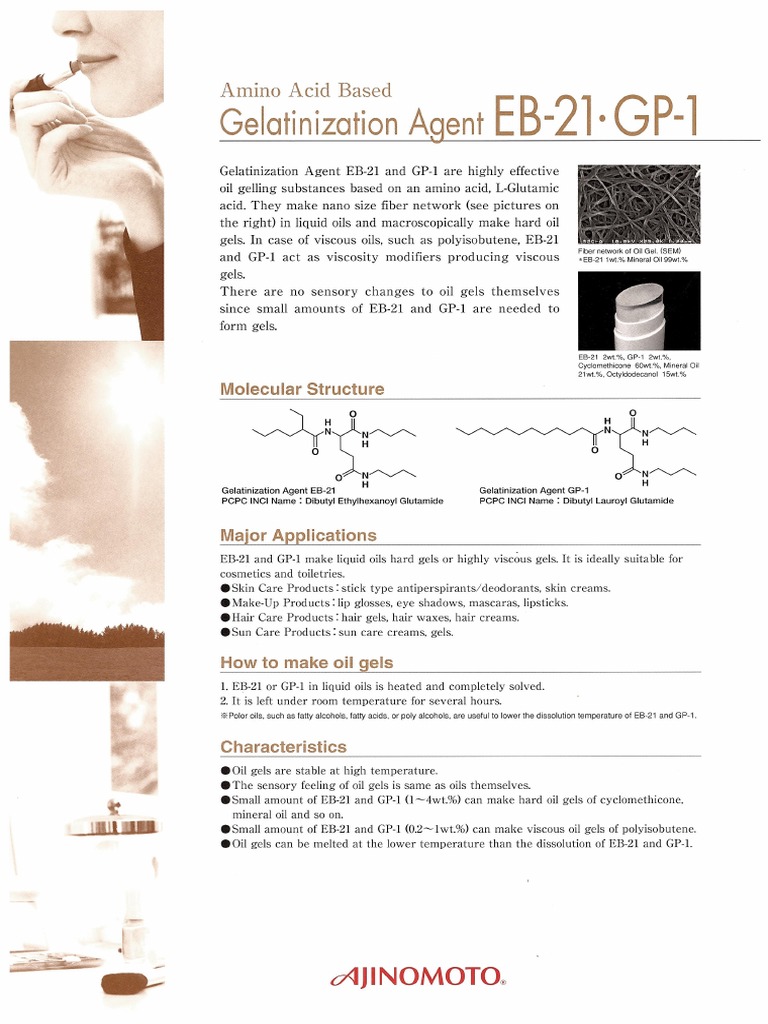 Eb 21 GP 1 | PDF