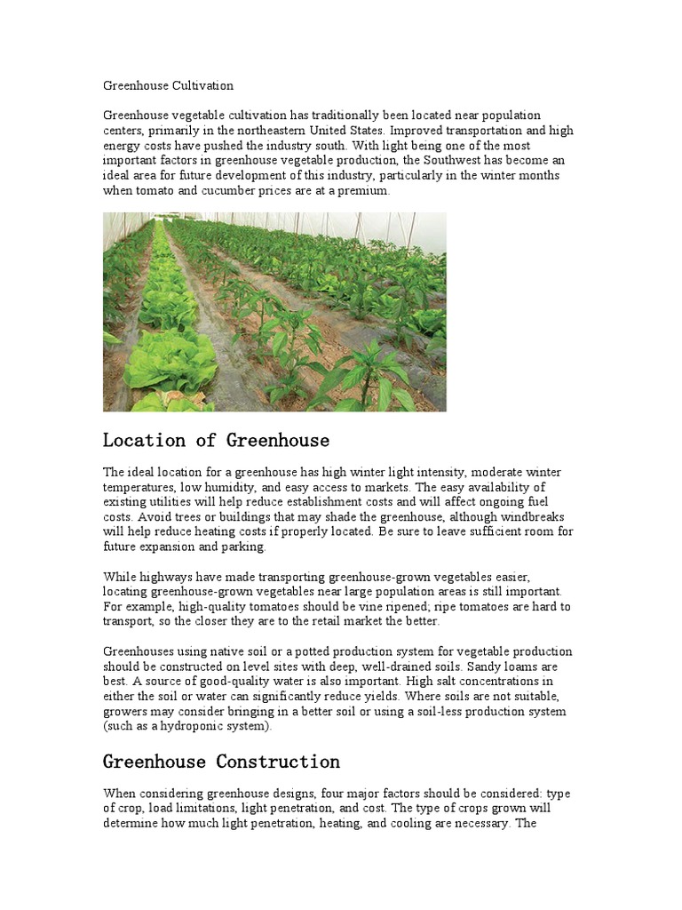 Process On Cultivating The Crops | PDF | Greenhouse | Hydroponics