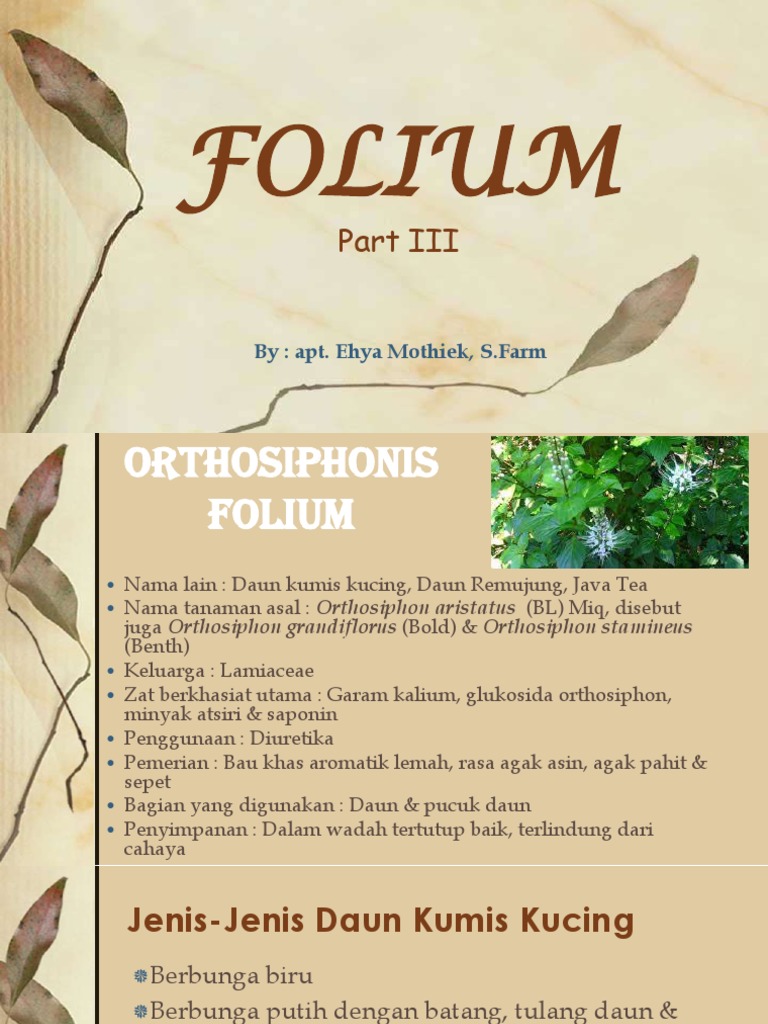 Folium 3 | PDF