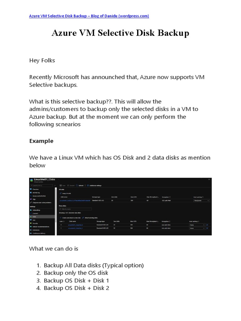 Azure VM Selective Disk Backup: Backup OS or Data Disks Individually ...