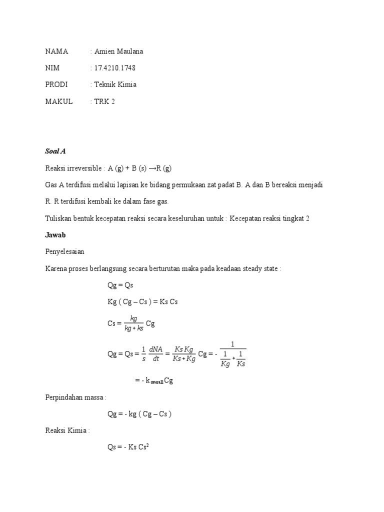 TRK 2 Amien Maulana | PDF