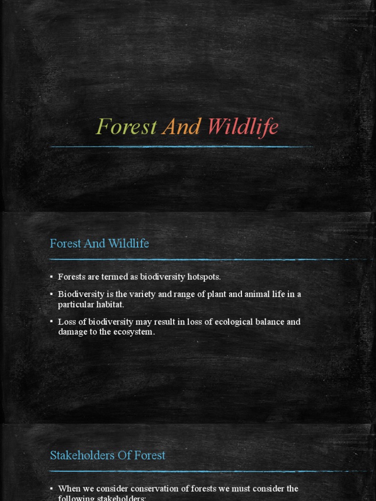 Forest and Wildlife | PDF | Forests | Biodiversity