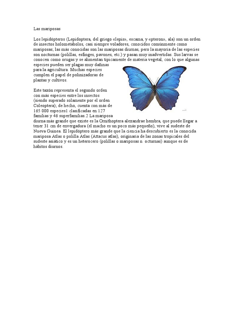 Las Mariposas | PDF