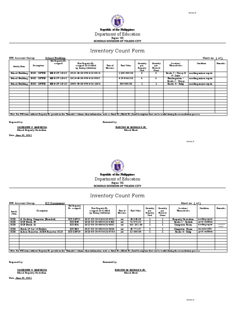 Toledo City School PPE Inventory | PDF | Computing | Business