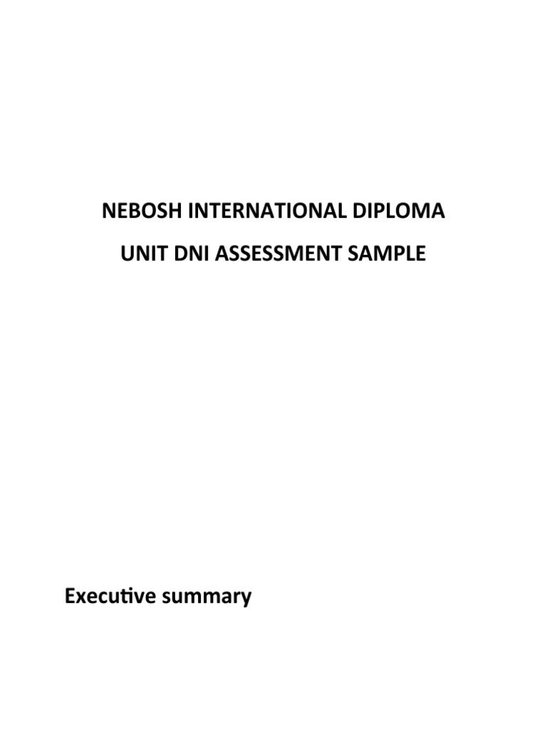 Sample DNI 1 | PDF