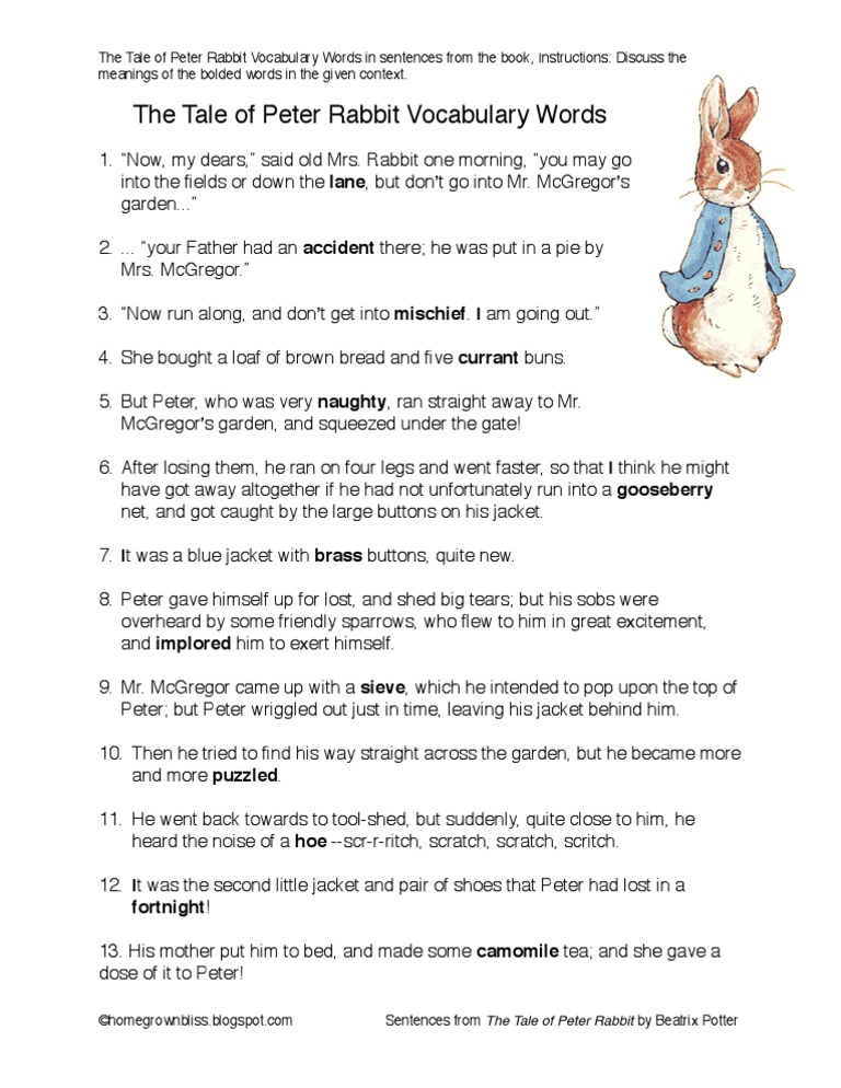 Peter Rabbit Vocabulary Words in Sentences | PDF