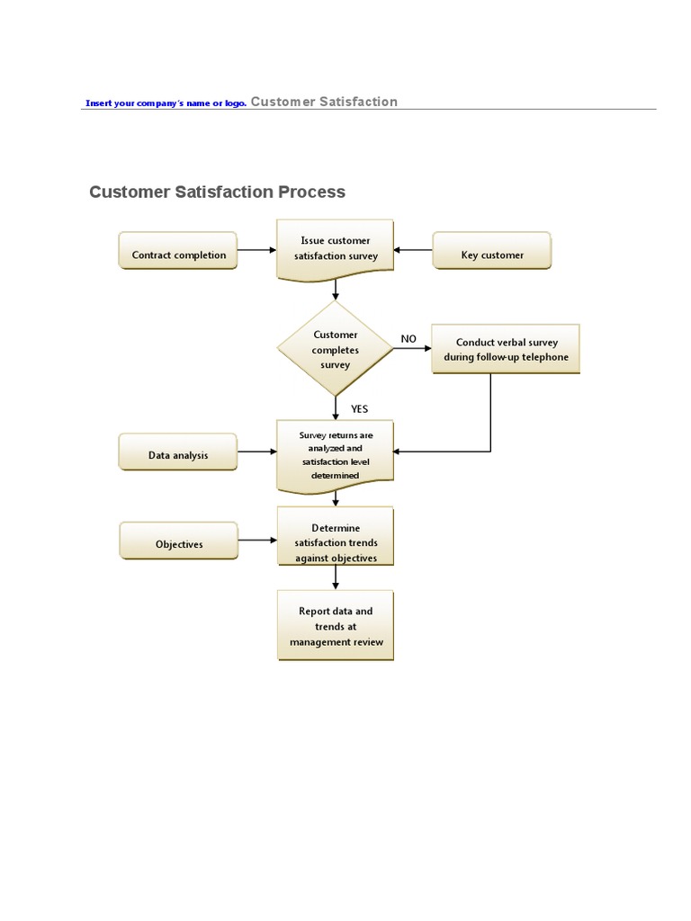 Customer Satisfaction Process | PDF