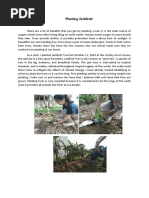 Accomplishment Report in Tree Planting | PDF