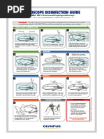 Flexible Endoscope Wall Chart | PDF | Endoscopy | Syringe