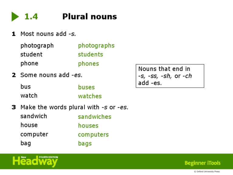 Plural Nouns: Photograph Student Phone Nouns That End in Add - Es | PDF
