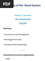 CSF Flow Studies - Radiology Reference Article | PDF | Cerebrospinal ...