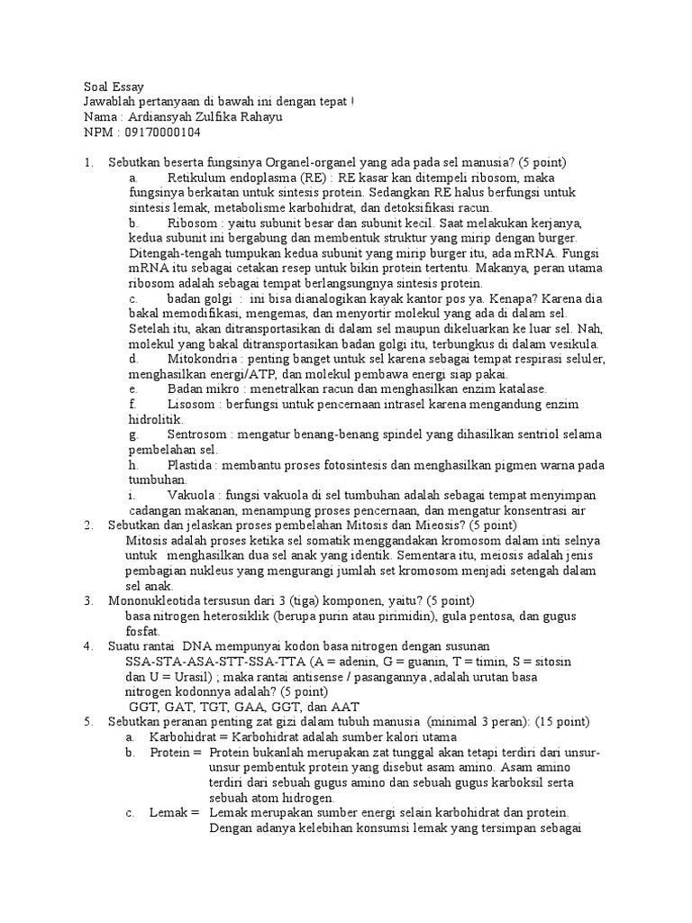 Soal Essay Ardi | PDF