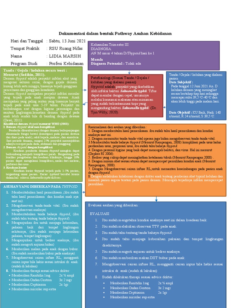 Pathway 1-LIDIA | PDF